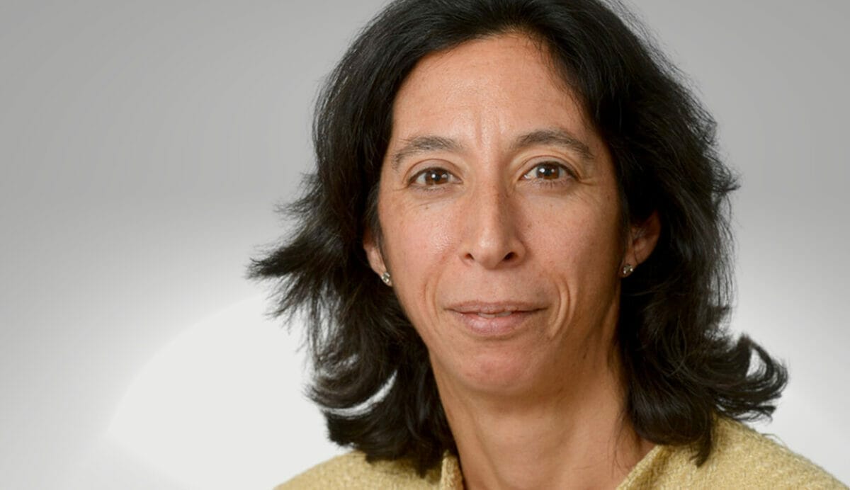 NEST reflects on 2024: Timber and thematic equities signpost growth ...